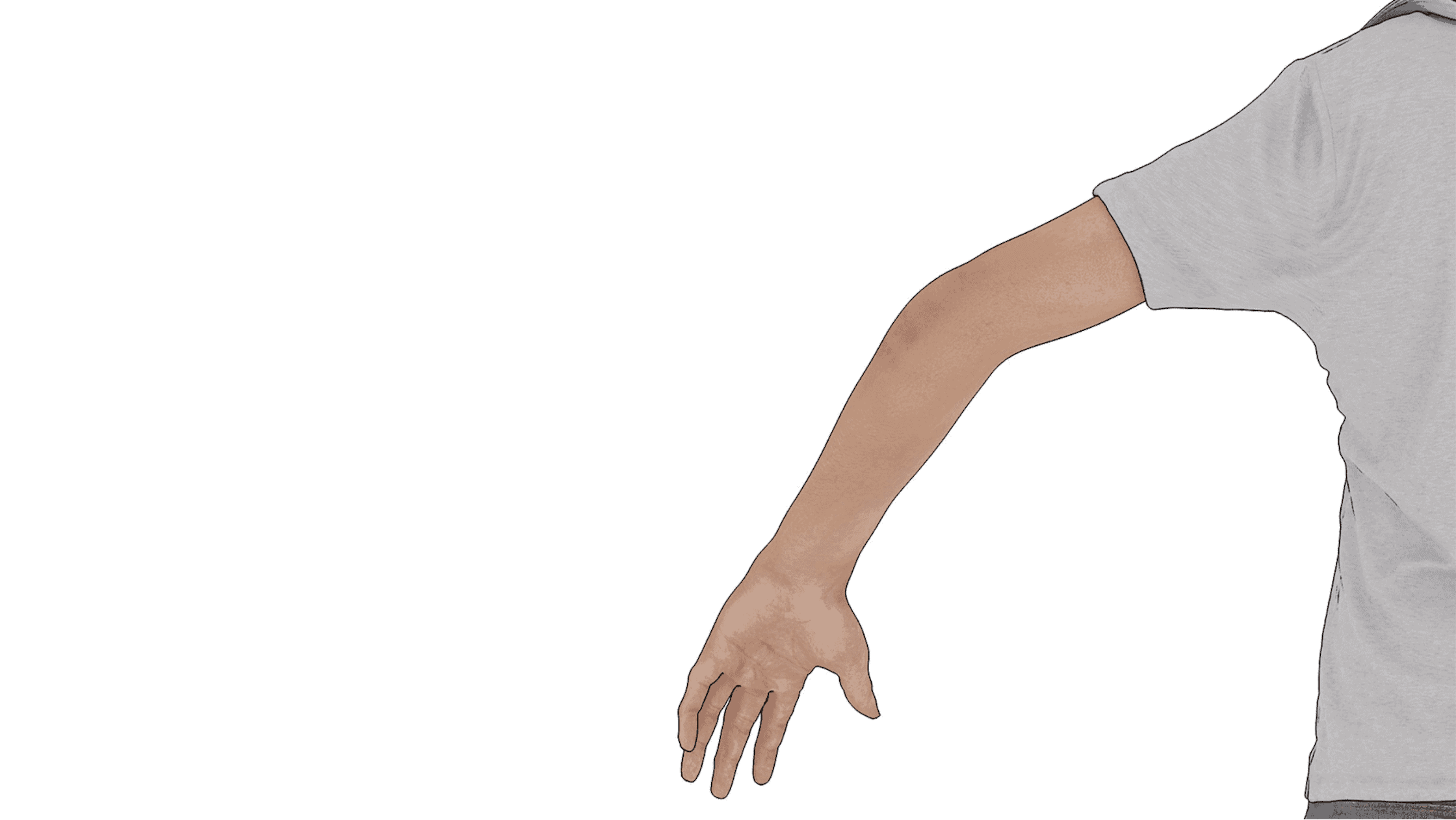 The Hand Signals for Driving: Right, Left, Stop [Video] | Zutobi