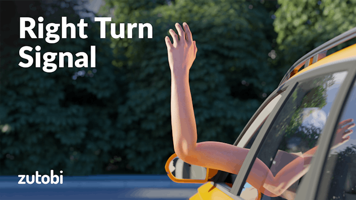 Hand Signals for Driving Explained: Right, Left, Stop, Slow