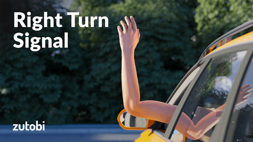 Hand Signals for Driving Explained: Right, Left, Stop, Slow
