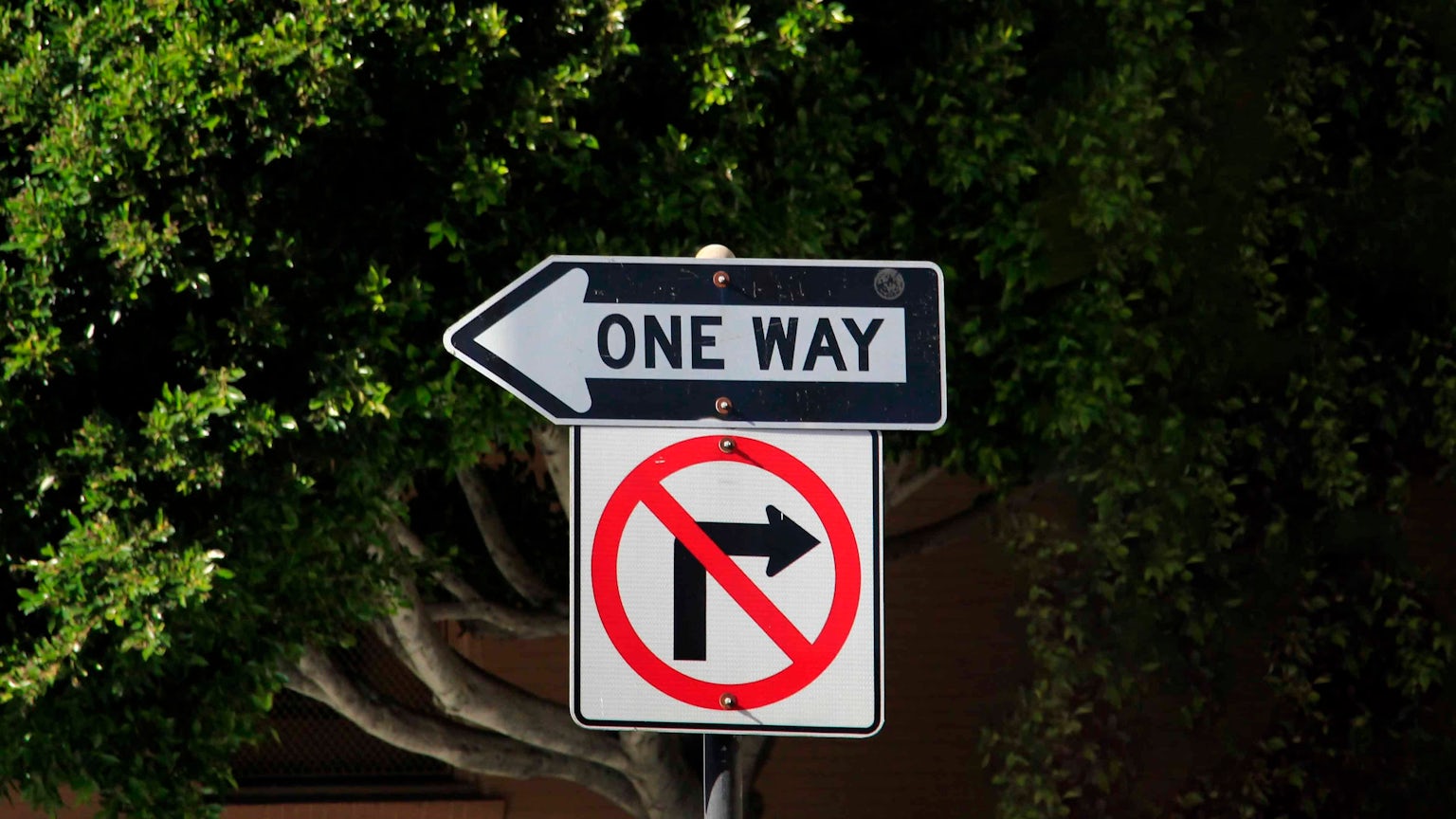 One-Way Streets Explained | Zutobi Drivers Ed