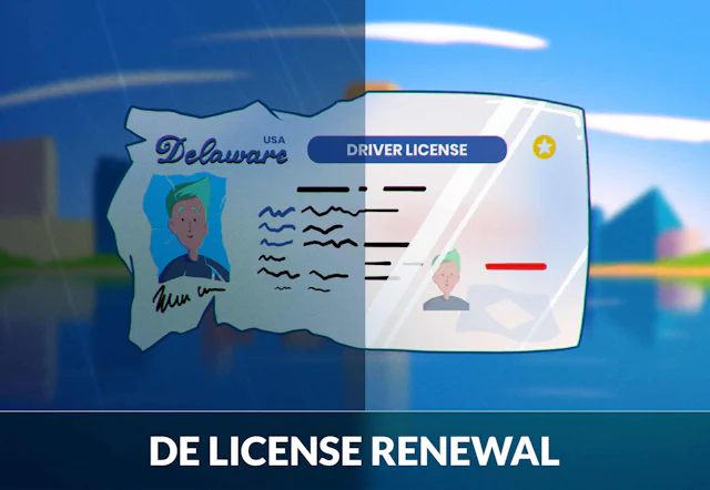 Delaware Driver's License Renewal Guide | Zutobi Drivers Ed