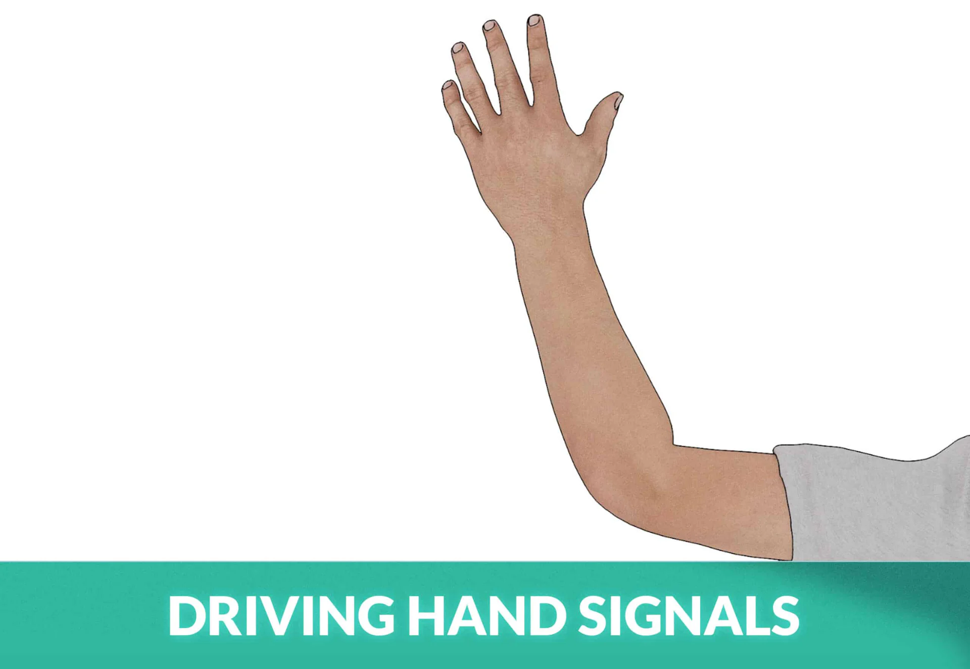 The 3 Hand Signals For Driving Explained Zutobi Drivers Ed The 3 Hand Signals For Driving Explained Zutobi Drivers Ed