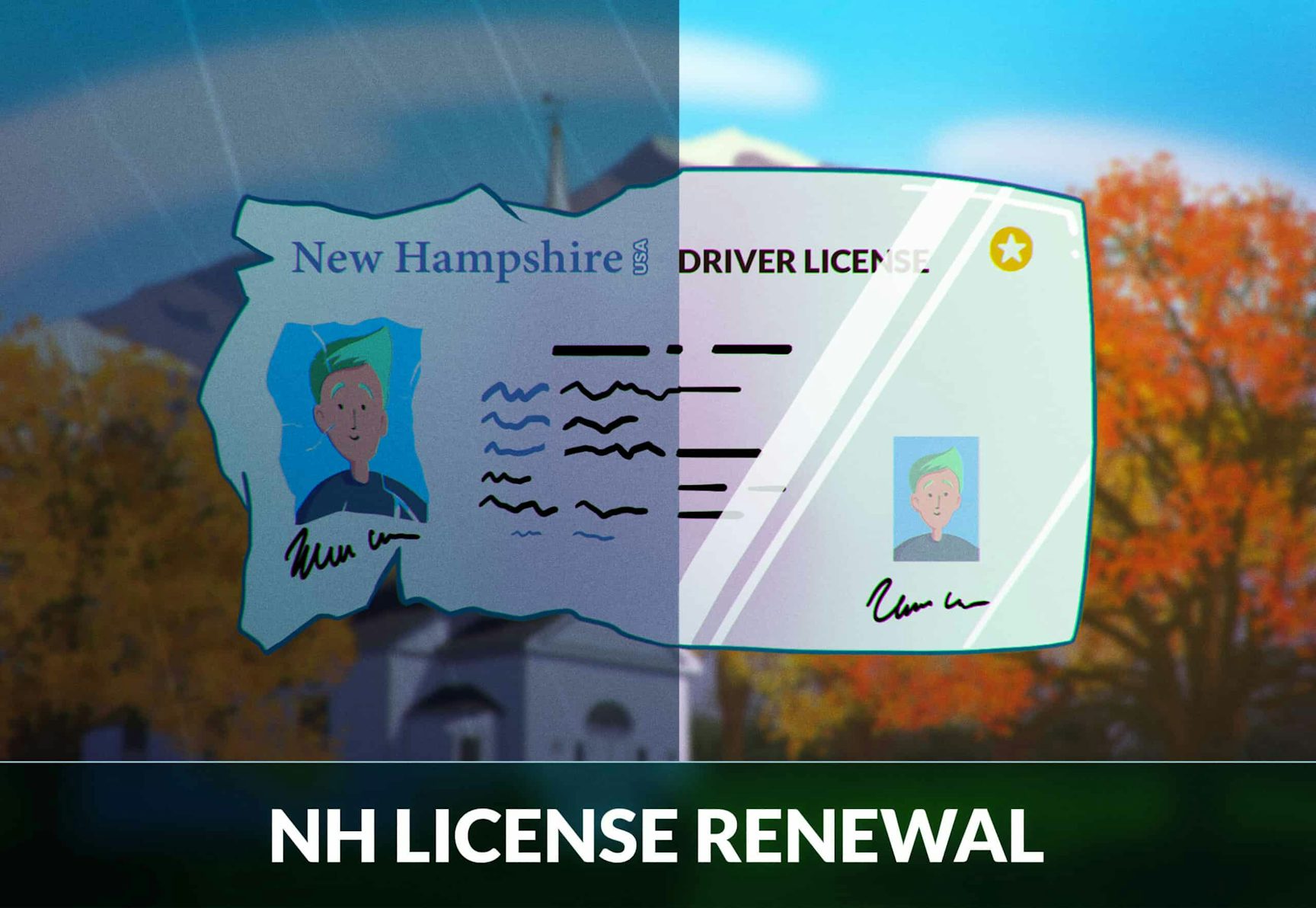 New Hampshire Driver's License Renewal | Zutobi Drivers Ed