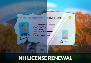 New Hampshire Driver's License Renewal | Zutobi Drivers Ed