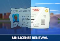 Minnesota Driver's License Renewal | MN Renewal 2024
