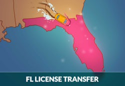 How to Transfer Driver’s License to Florida | New Resident FL