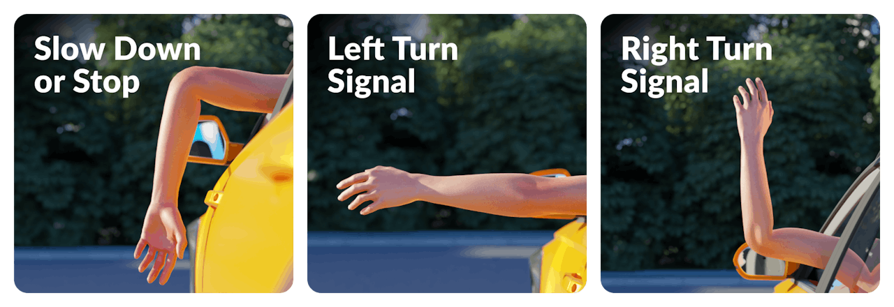 Hand Signals for Driving Explained: Right, Left, Stop, Slow