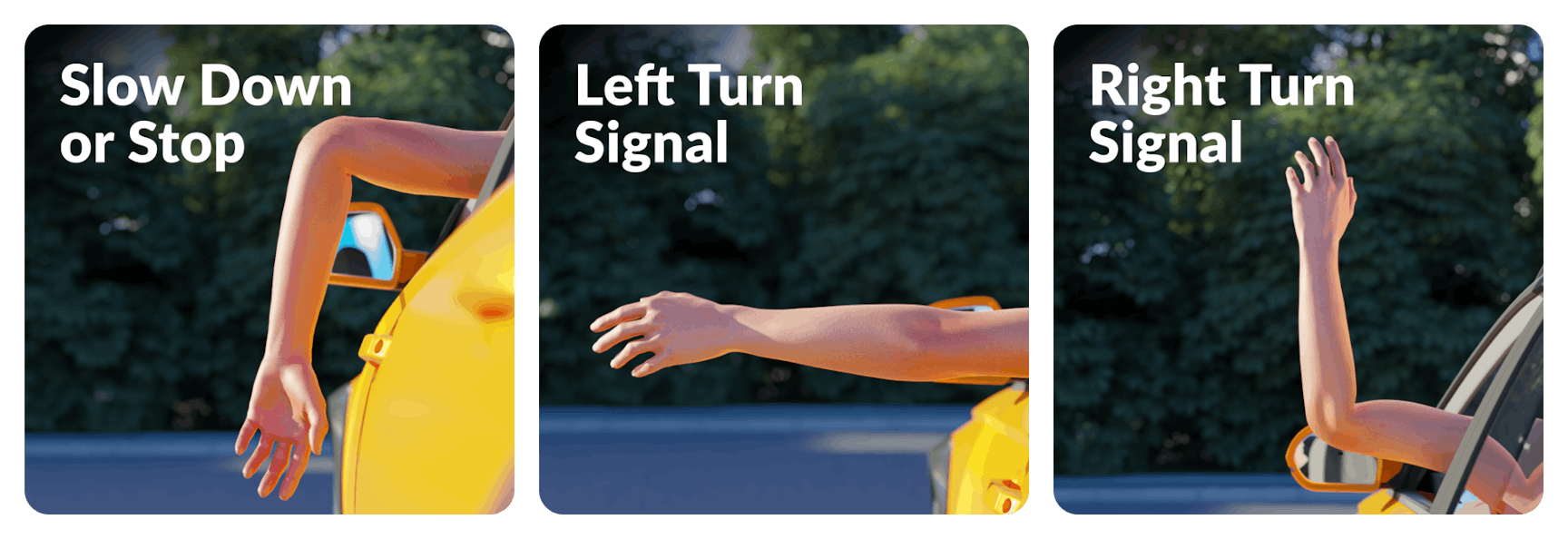 Hand Signals for Driving Explained: Right, Left, Stop, Slow