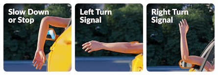 Hand Signals for Driving Explained: Right, Left, Stop, Slow