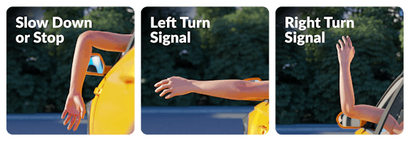 Hand Signals for Driving Explained: Right, Left, Stop, Slow