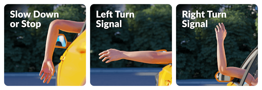 Hand Signals for Driving Explained: Right, Left, Stop, Slow