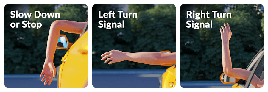 Hand Signals for Driving Explained: Right, Left, Stop, Slow