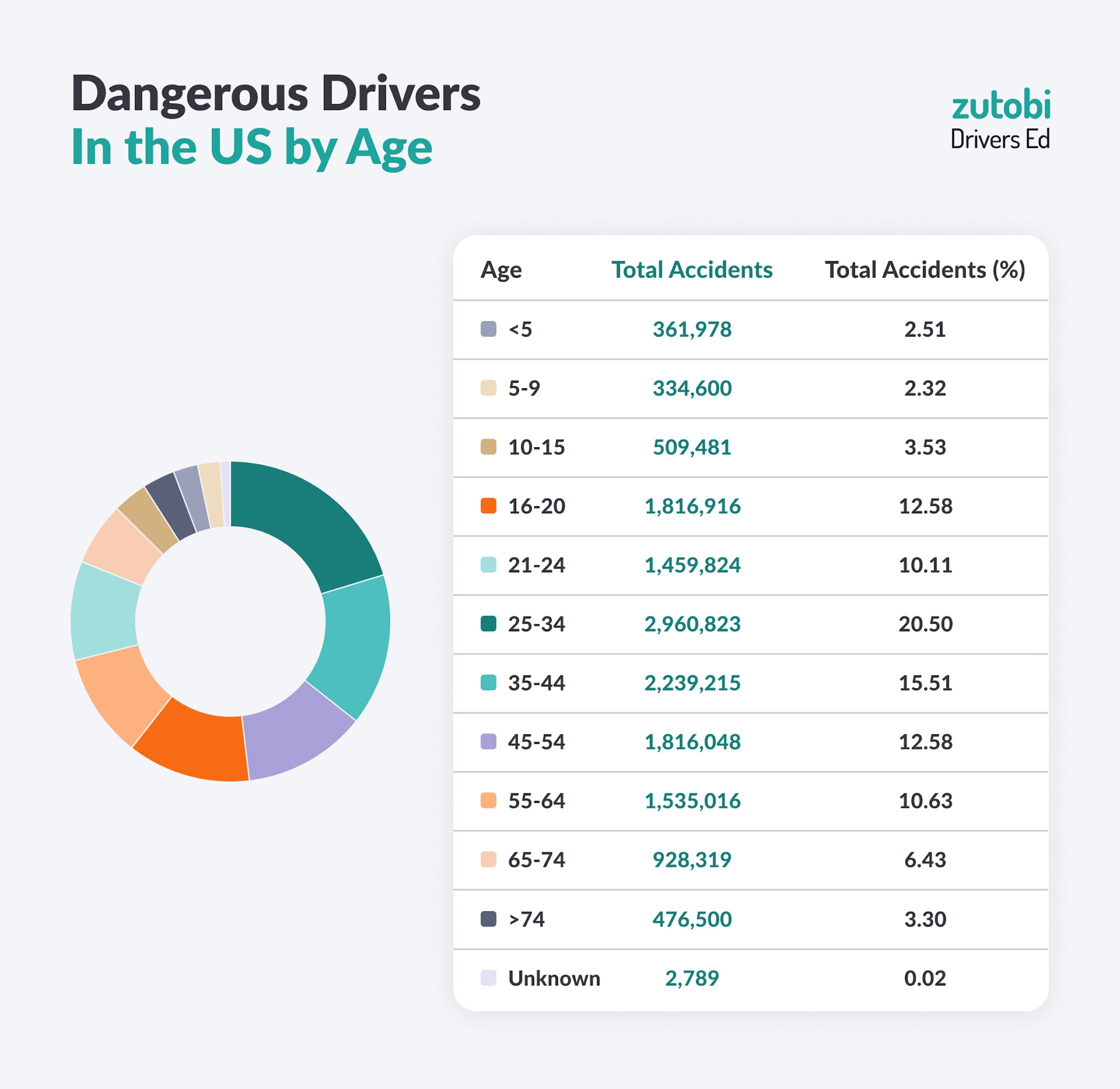 What Do the US's Most Dangerous Drivers Look Like? | Zutobi Drivers Ed
