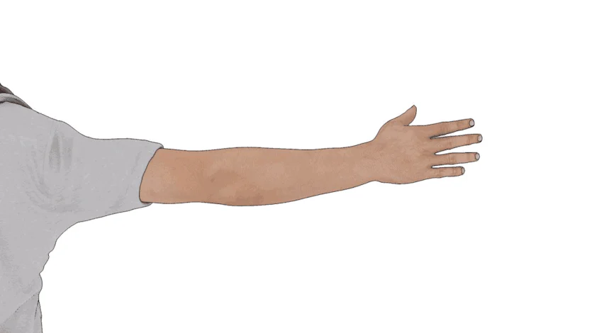 The 2 Hand Signals for Driving Explained: A Driver's Guide