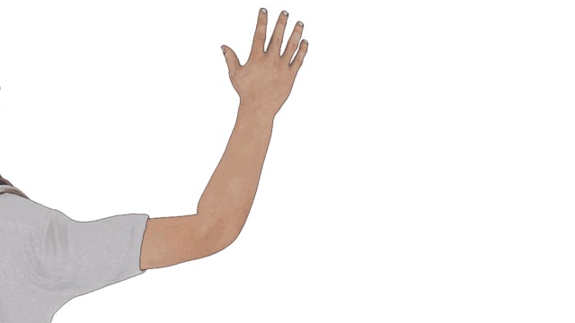 The 2 Hand Signals for Driving Explained: A Driver's Guide