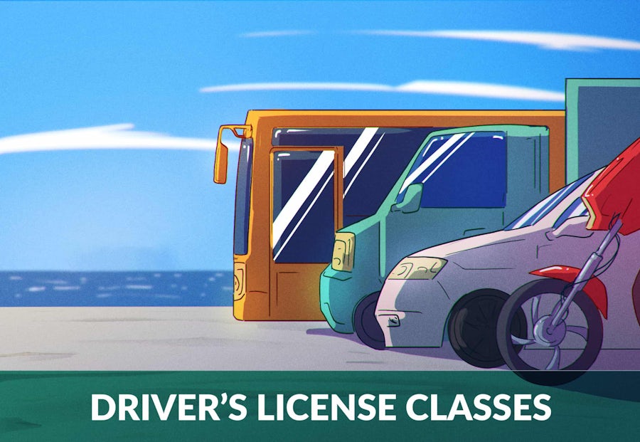 Driver's Licence Classes in Australia: C, LR, MR, HR, HC, MC, R